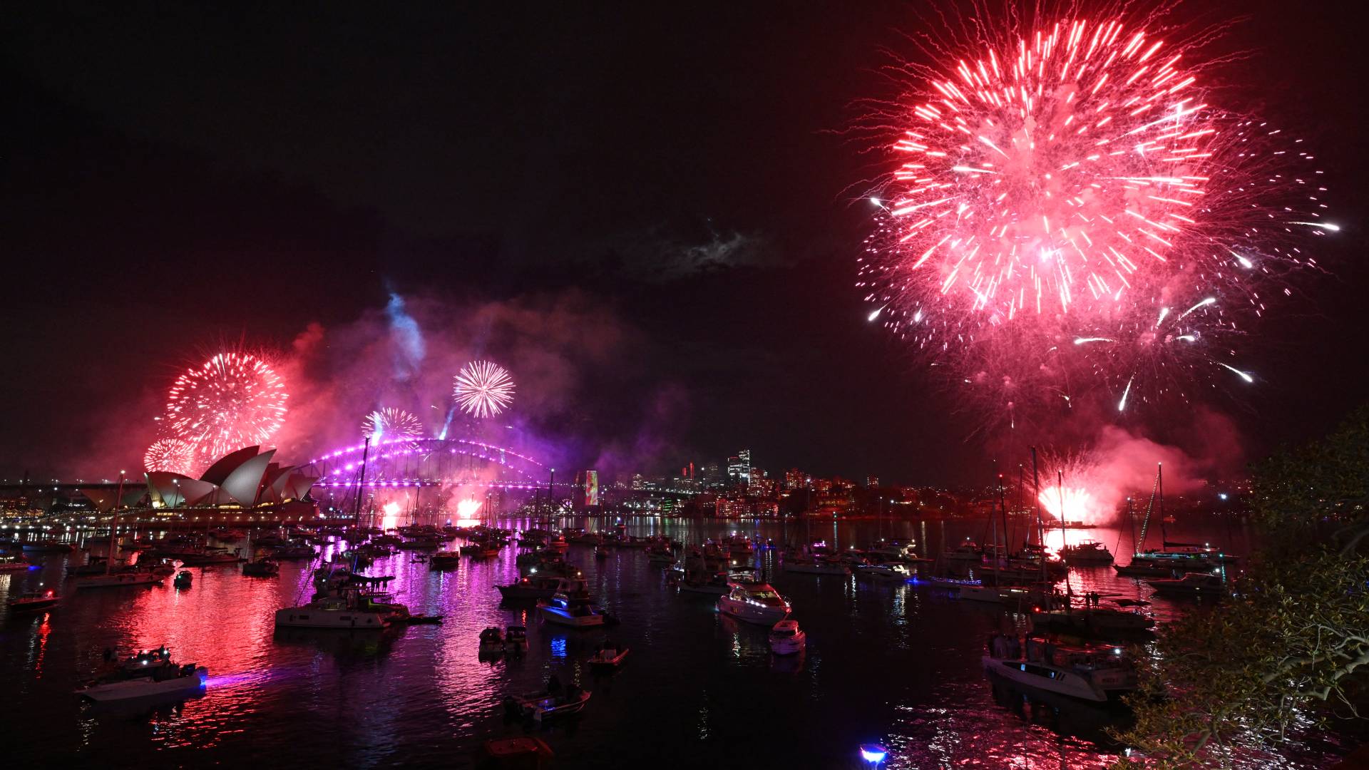 Roya News | Who is Ahmad Al Ahmad, the man who stopped Sydney shooting?